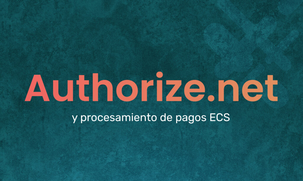 Comprendiendo códigos CVV y seguridad de tarjetas | ECS